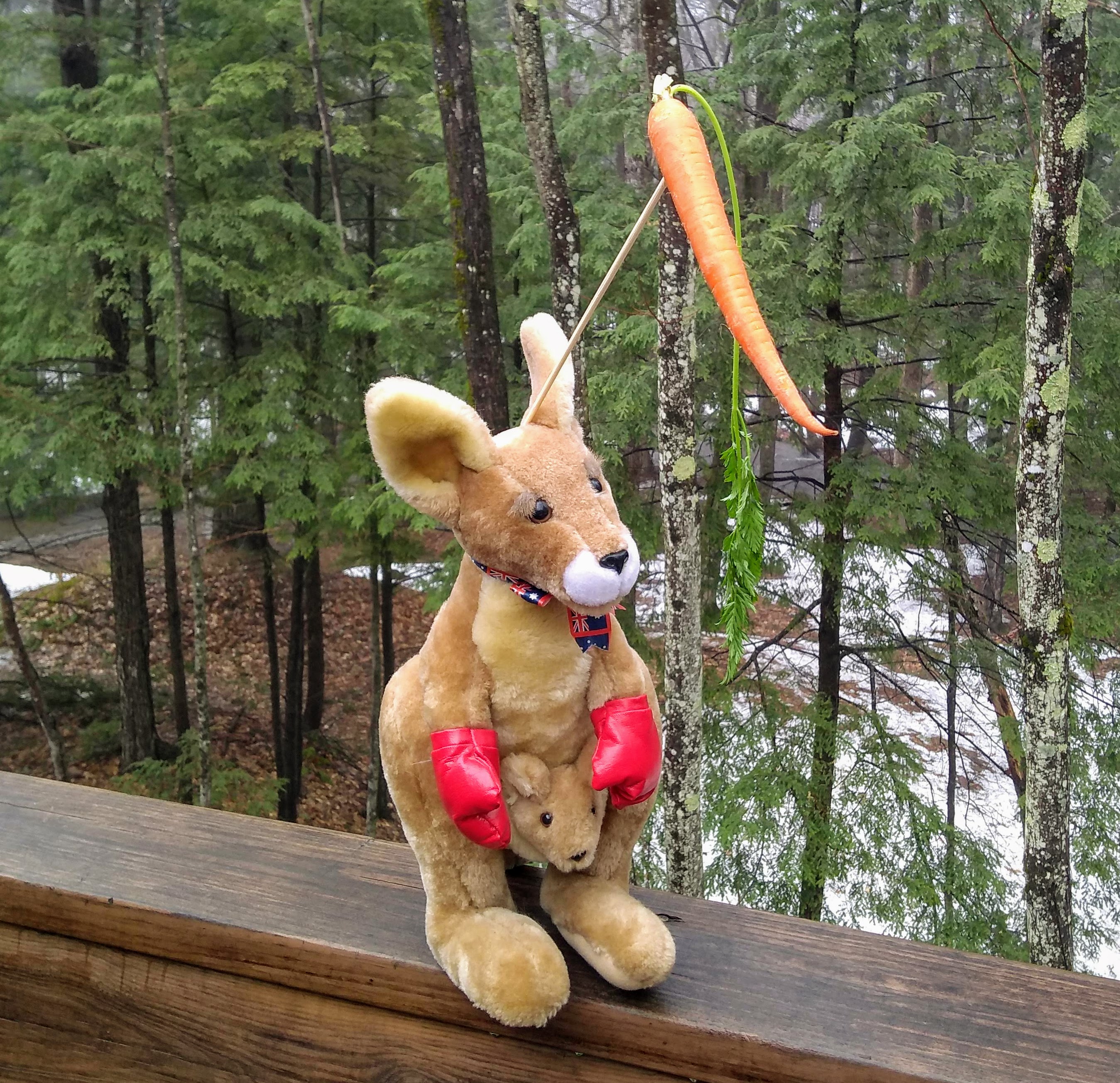 Healthy Benefits Part 1 – My $100 Carrot - Max Out of Pocket